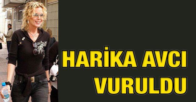 Harika Avcıyı vurdular | Haberci19